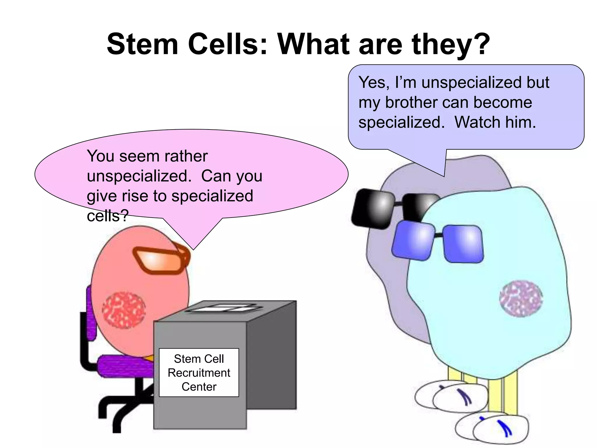 Stem_Cells_and_Cancer_PPT.ppt