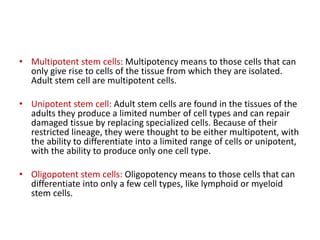 Stem cells and its application | PPTX