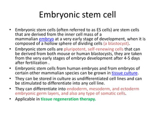 Stem cells and its application | PPTX