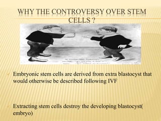 STEM CELLS | PPTX