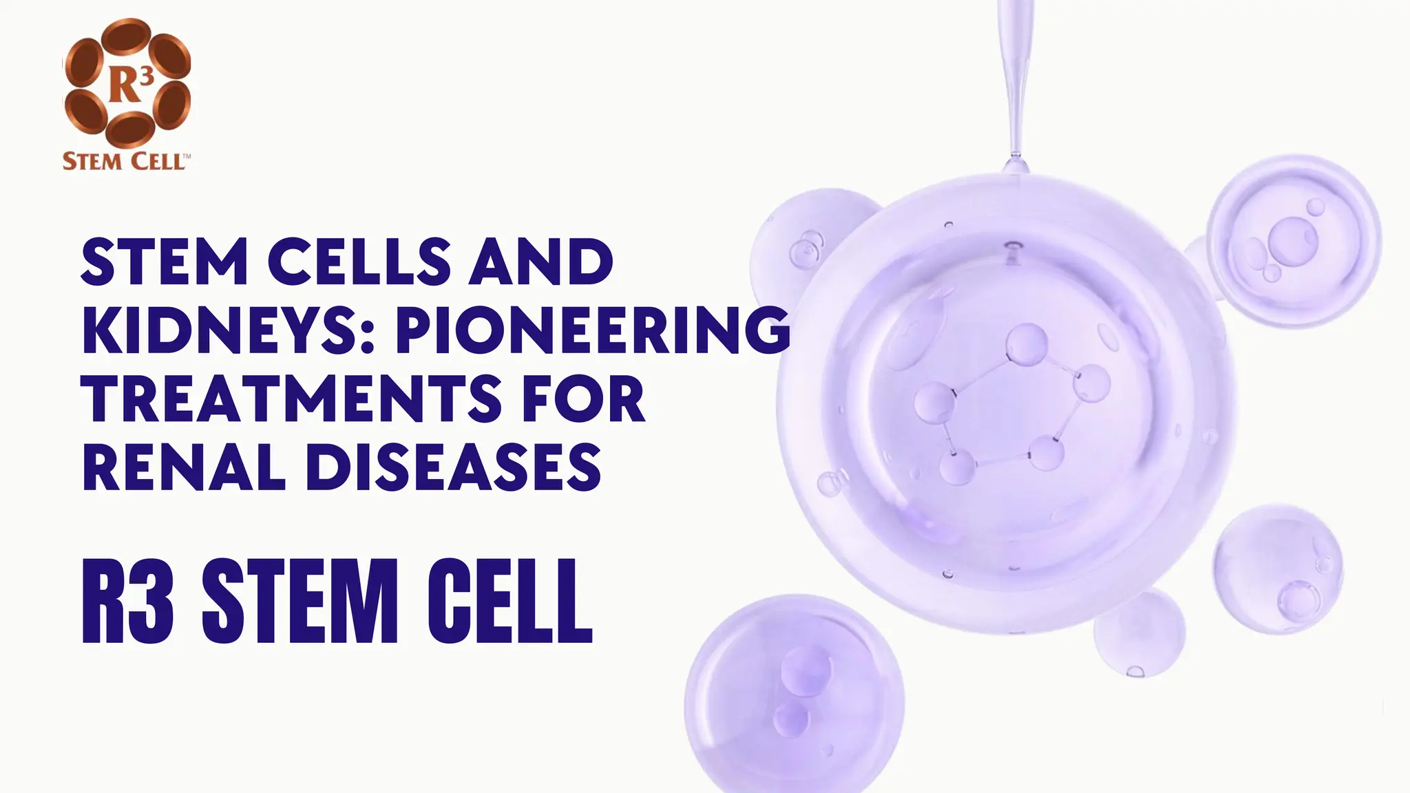 Stem Cells and Kidneys: Pioneering Treatments for Renal Diseases | R3 ...