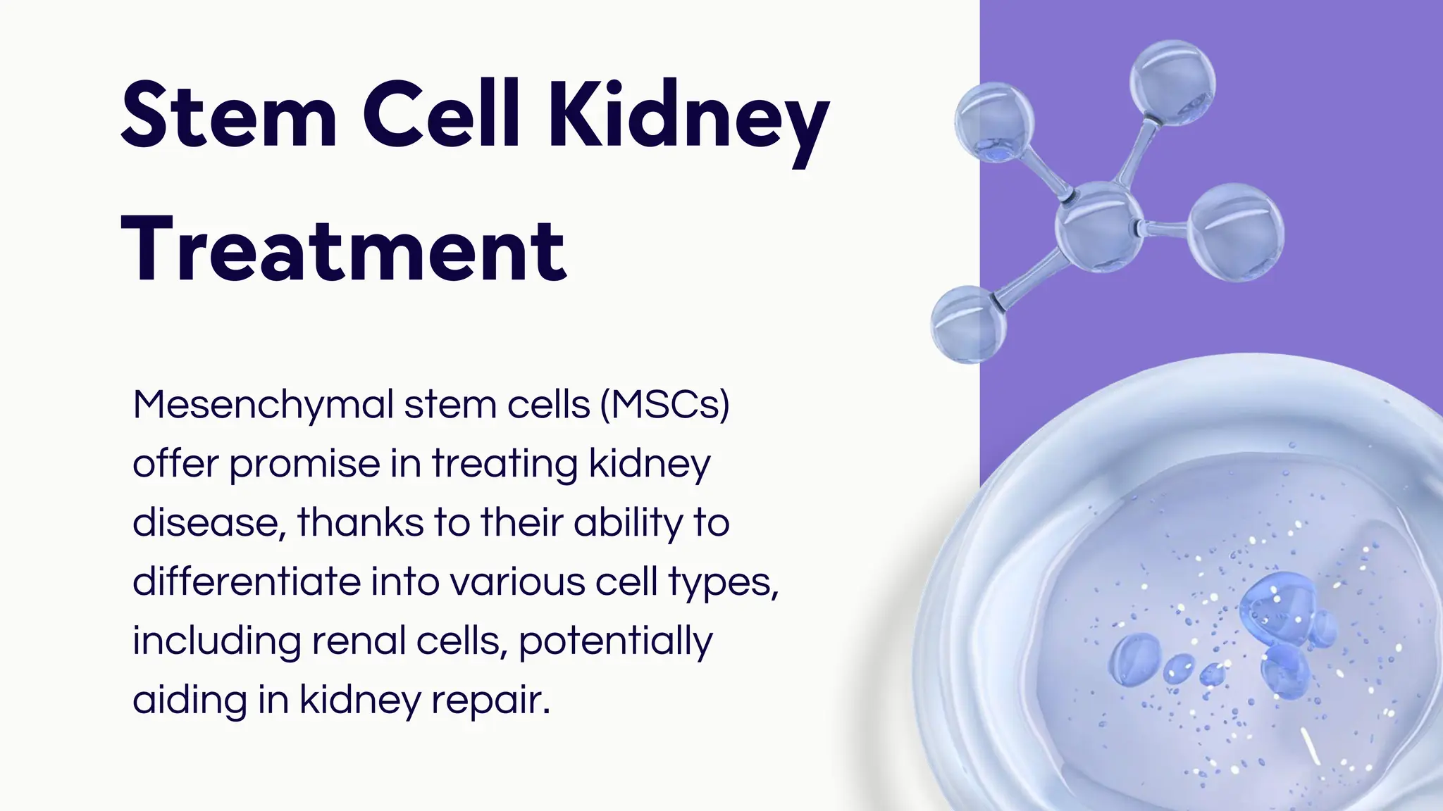 Stem Cells and Kidneys: Pioneering Treatments for Renal Diseases | R3 ...