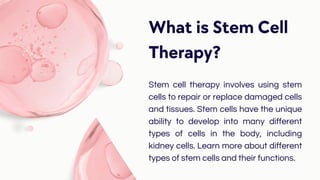 Stem Cells and Kidneys: Pioneering Treatments for Renal Diseases | R3 ...