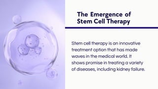 Stem Cells and Kidneys: Pioneering Treatments for Renal Diseases | R3 ...