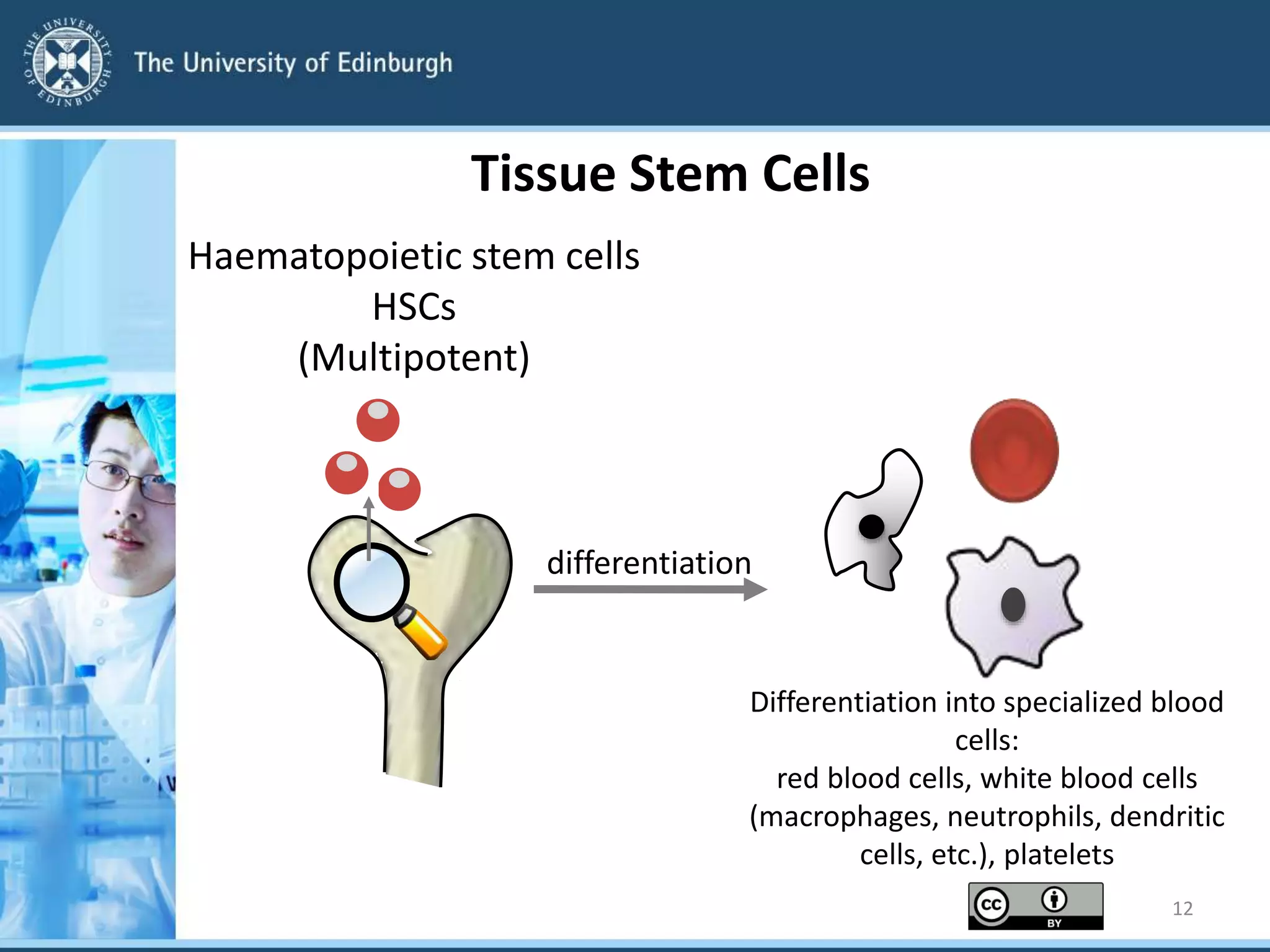 Stem cells and_regenerative_medicine | PPTX