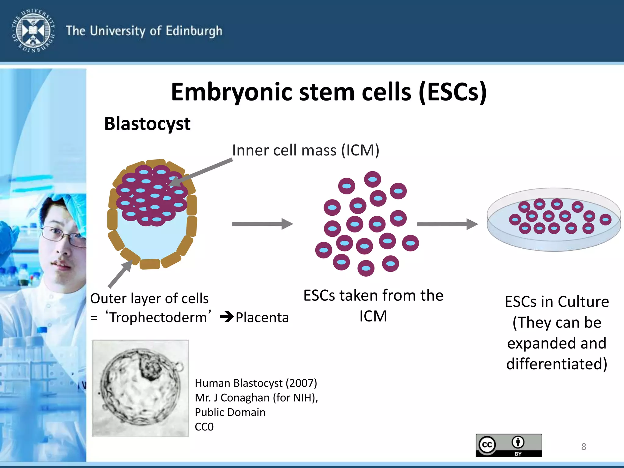 Stem cells and_regenerative_medicine | PPTX
