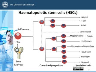 Stem cells and_regenerative_medicine | PPTX