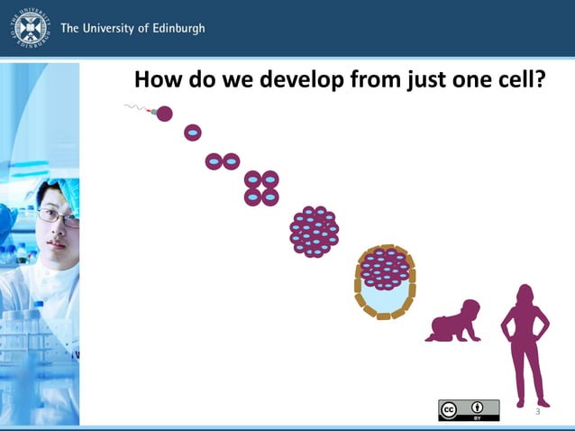 Stem cells and_regenerative_medicine | PPTX