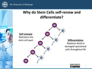 Stem cells and_regenerative_medicine | PPTX