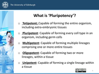 Stem cells and_regenerative_medicine | PPTX