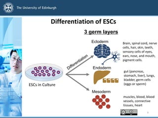 Stem cells and_regenerative_medicine | PPTX