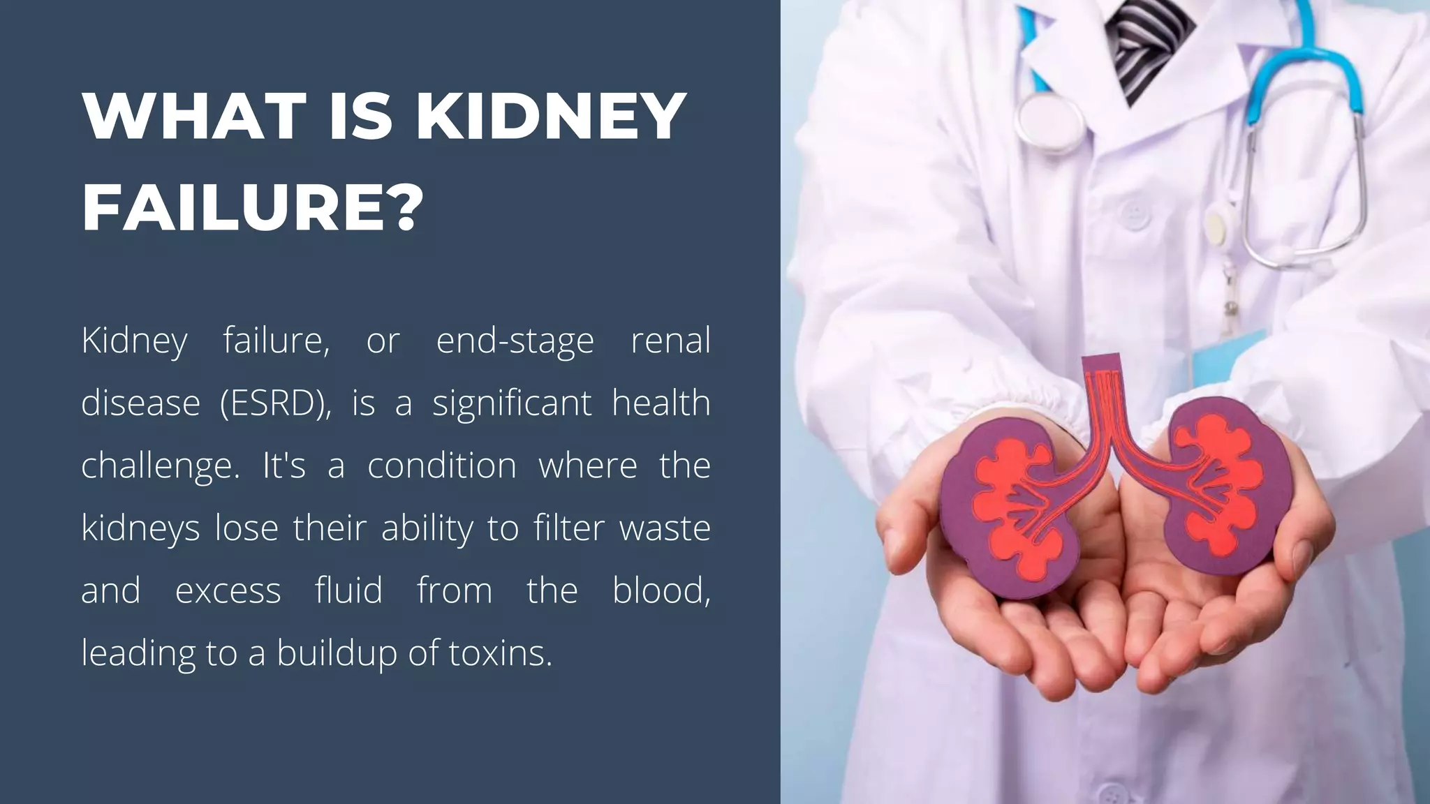 Stem Cells and Renal Regeneration: A Hopeful Future for Kidney Patients ...