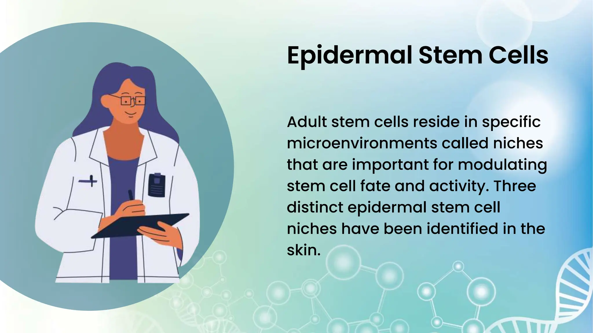 Stem Cells and Skin: A Symbiotic Rejuvenation | R3 Stem Cell | PPTX