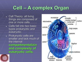 Stem Cells and Stem Cell Therapy.pdf