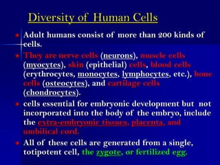 Stem Cells and Stem Cell Therapy.pdf