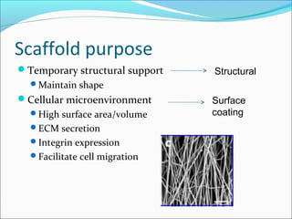 Stem cells and tissue engineering | PPT