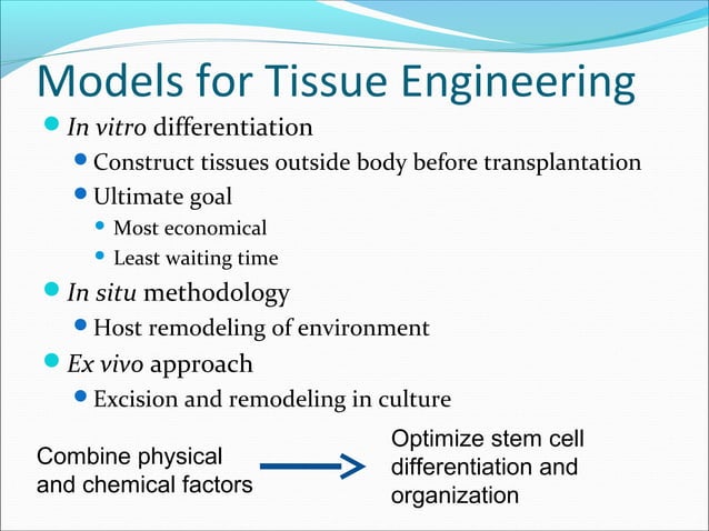 Stem cells and tissue engineering | PPT | Genetics | Science