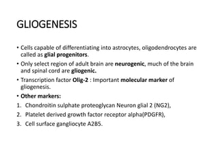 Stem Cells Biology by Lomesh | PPTX