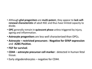 Stem Cells Biology by Lomesh | PPTX
