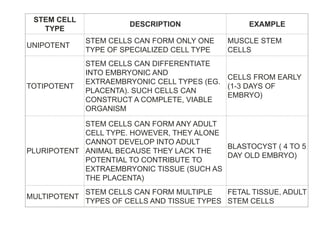 Stem Cells Biology by Lomesh | PPTX