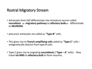Stem Cells Biology by Lomesh | PPTX