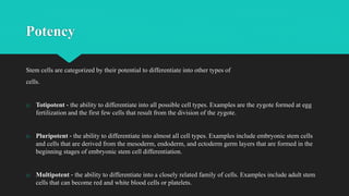 Stem cells , culture and technologies | PPTX