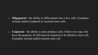 Stem cells , culture and technologies | PPTX