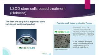 Stem Cells in Blindness Treatment | PPTX
