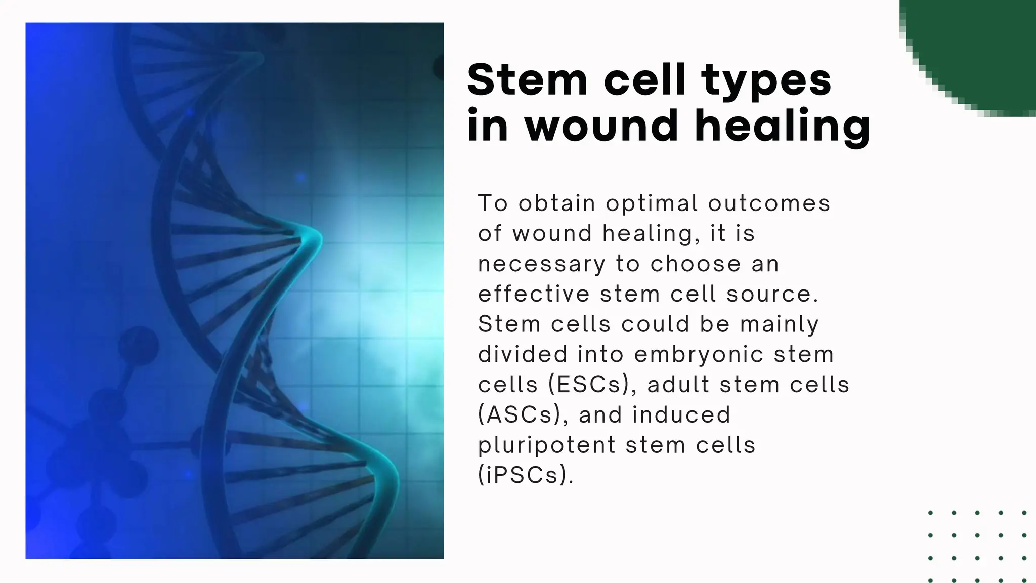 Stem Cells in Cosmeceuticals A New Era for Skin Health R3 Stem Cell.pptx