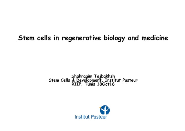Stem cells in regenerative biology and medicine | PDF | Genetics | Science