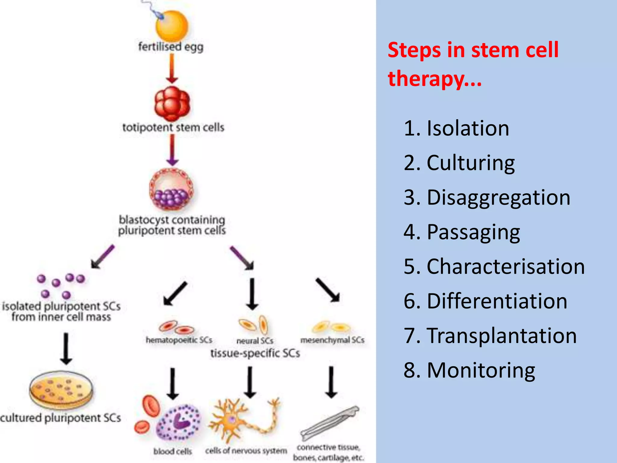 Stem cell therapy in veterinary medicine | PPTX