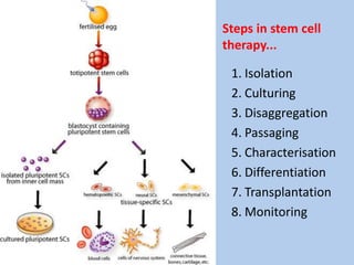 Stem cell therapy in veterinary medicine | PPTX