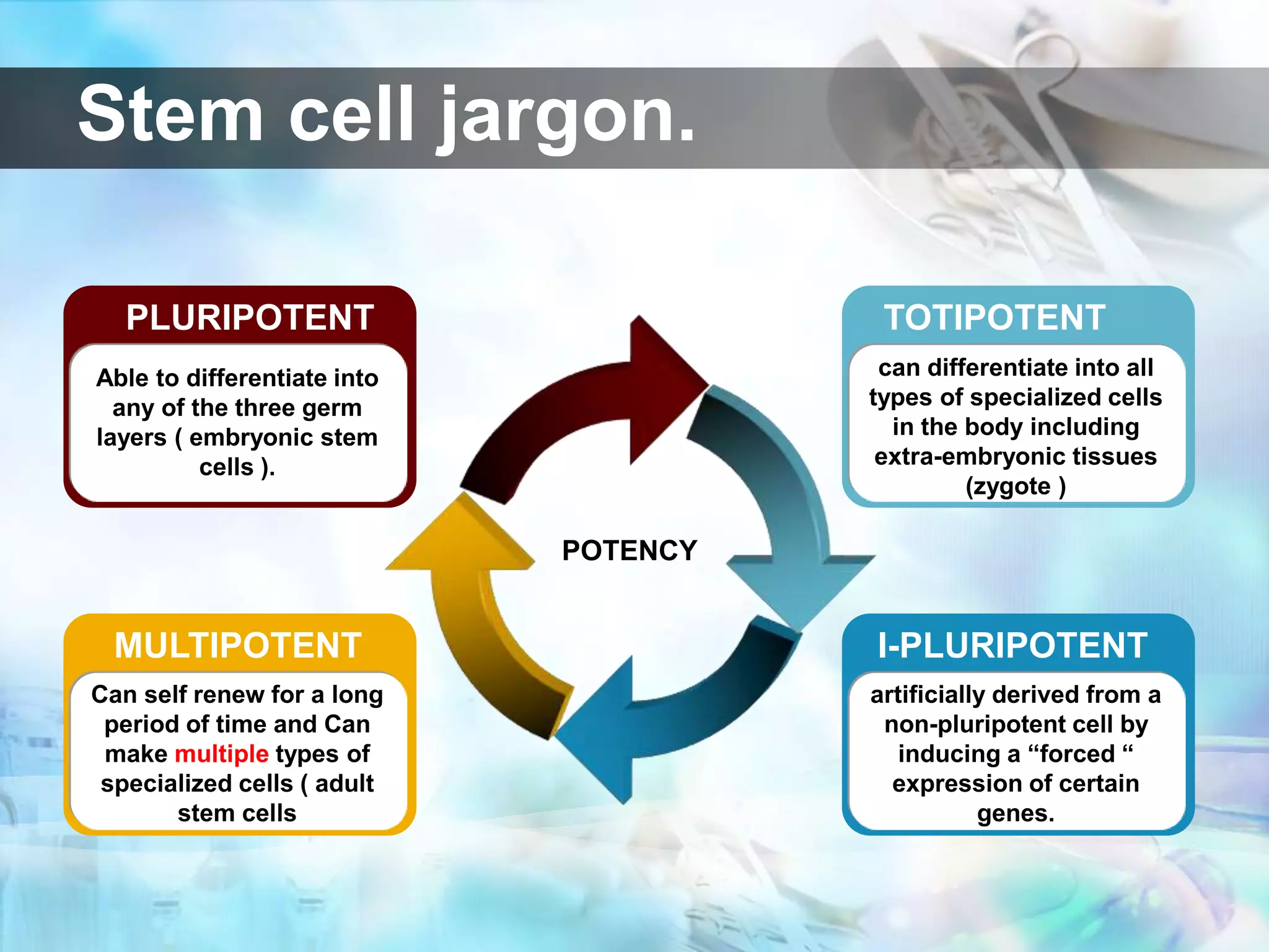 Stem cells | PPTX