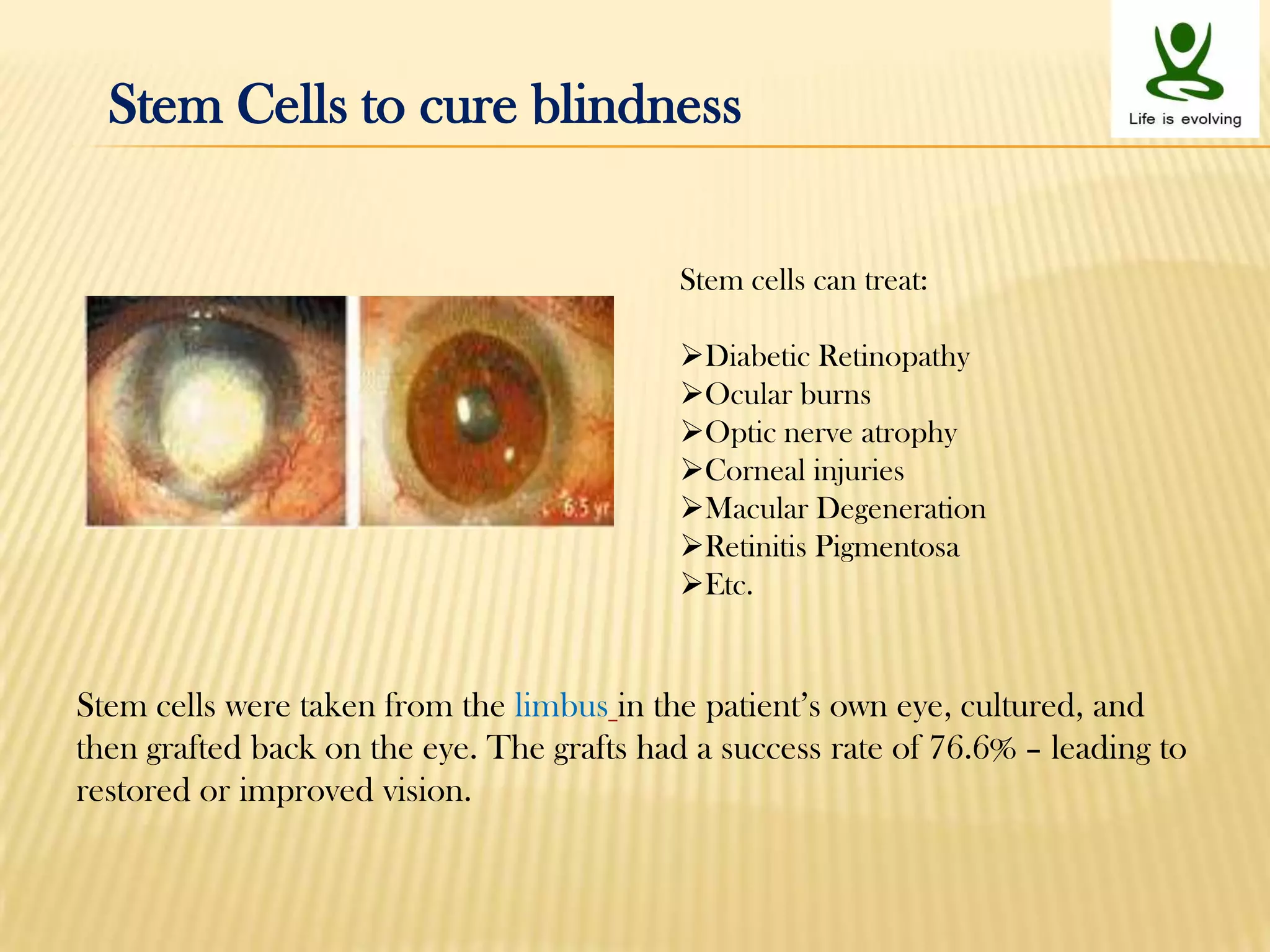 Stem cells niche and therapeutic applications | PPTX