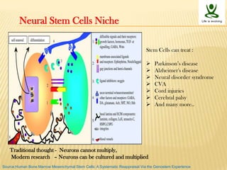 Stem cells niche and therapeutic applications | PPTX