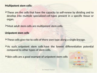 Stem cells, Oogenesis and spermatogensis in Drosophila.pptx