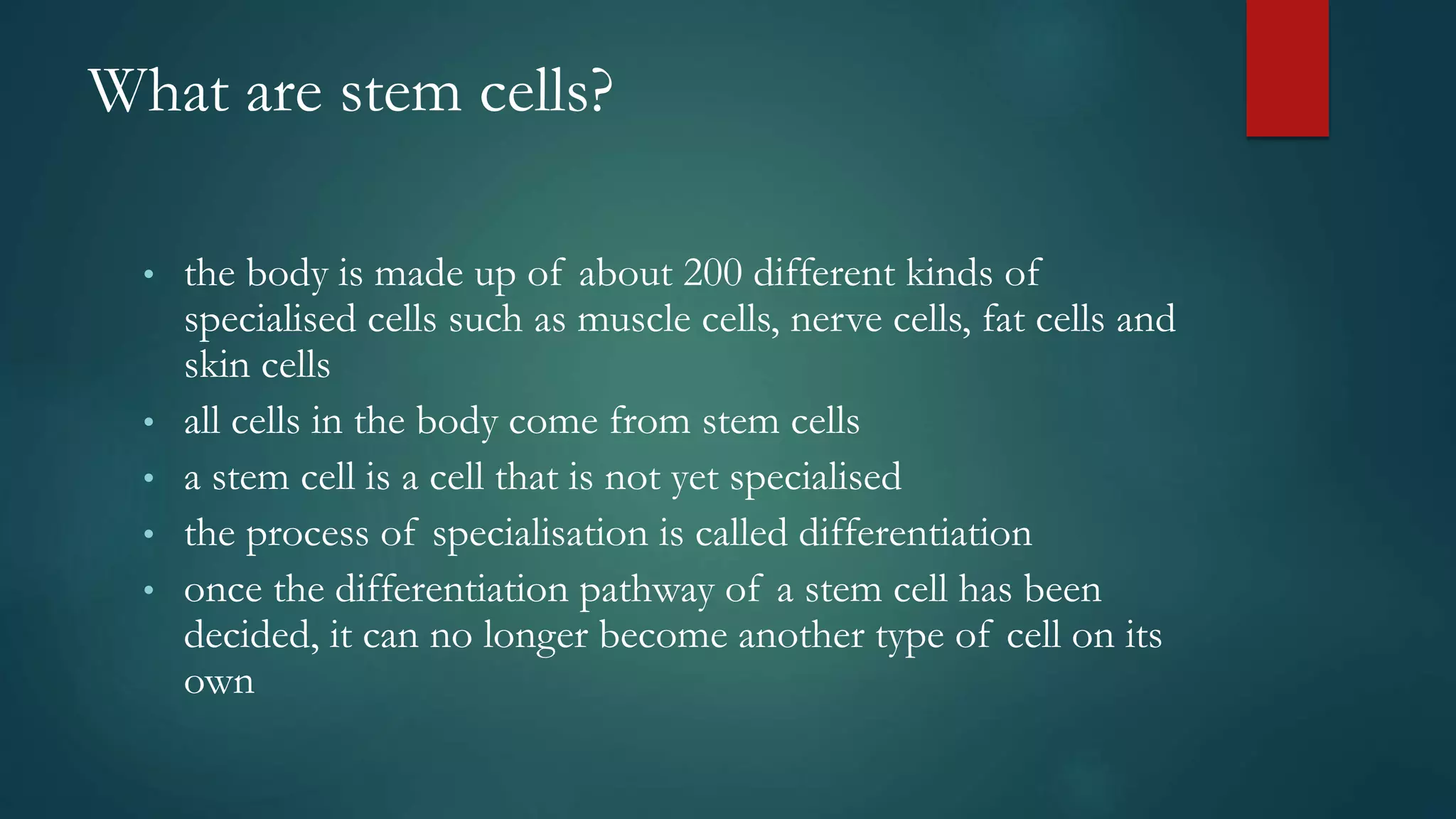 Stem cells ppt | PPTX