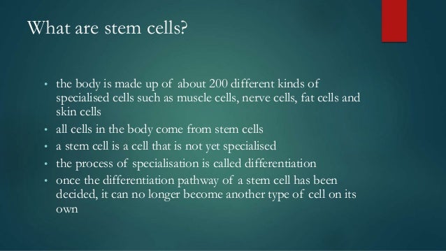 Stem Cells Ppt