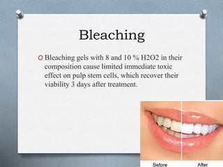 stem cells ppt (1).pptx
