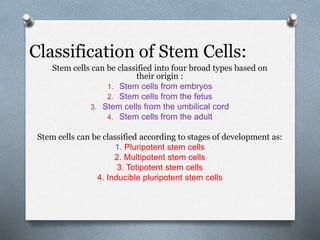 stem cells ppt (1).pptx