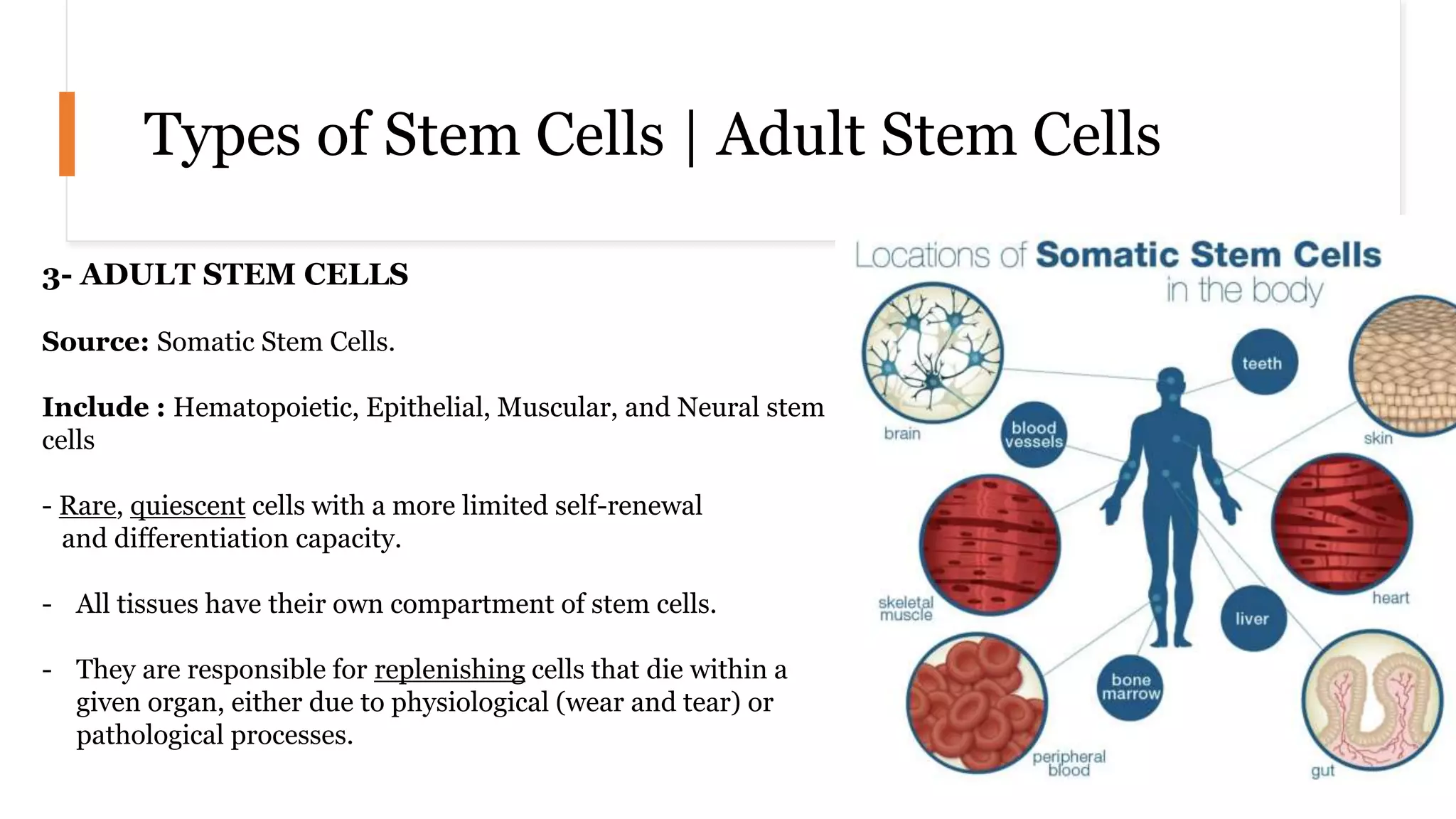 Stem cells Types .pptx