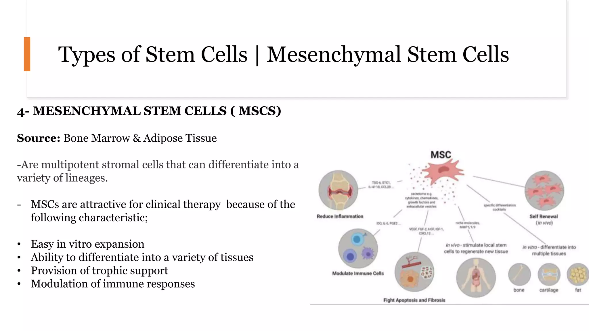 Stem cells Types .pptx