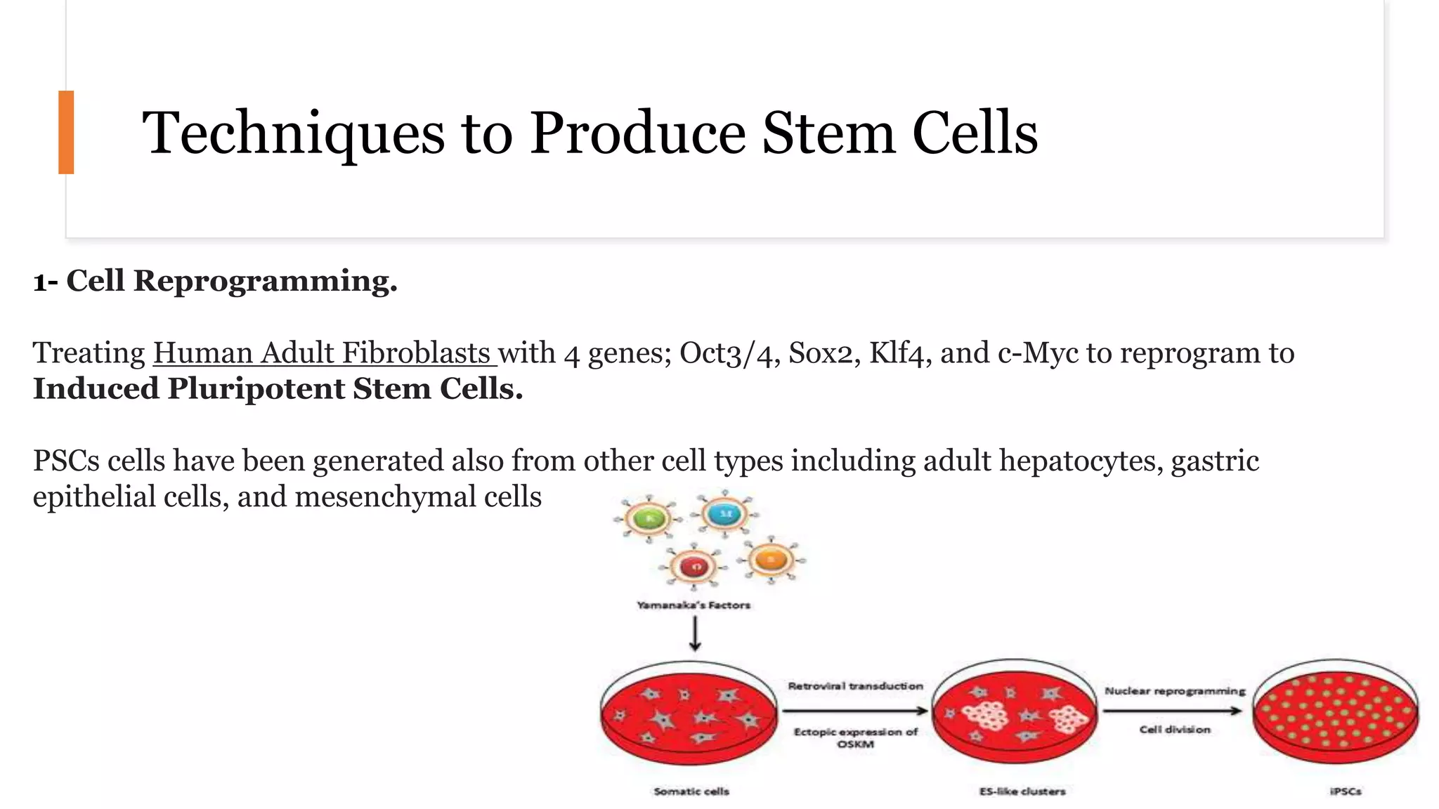 Stem cells Types .pptx