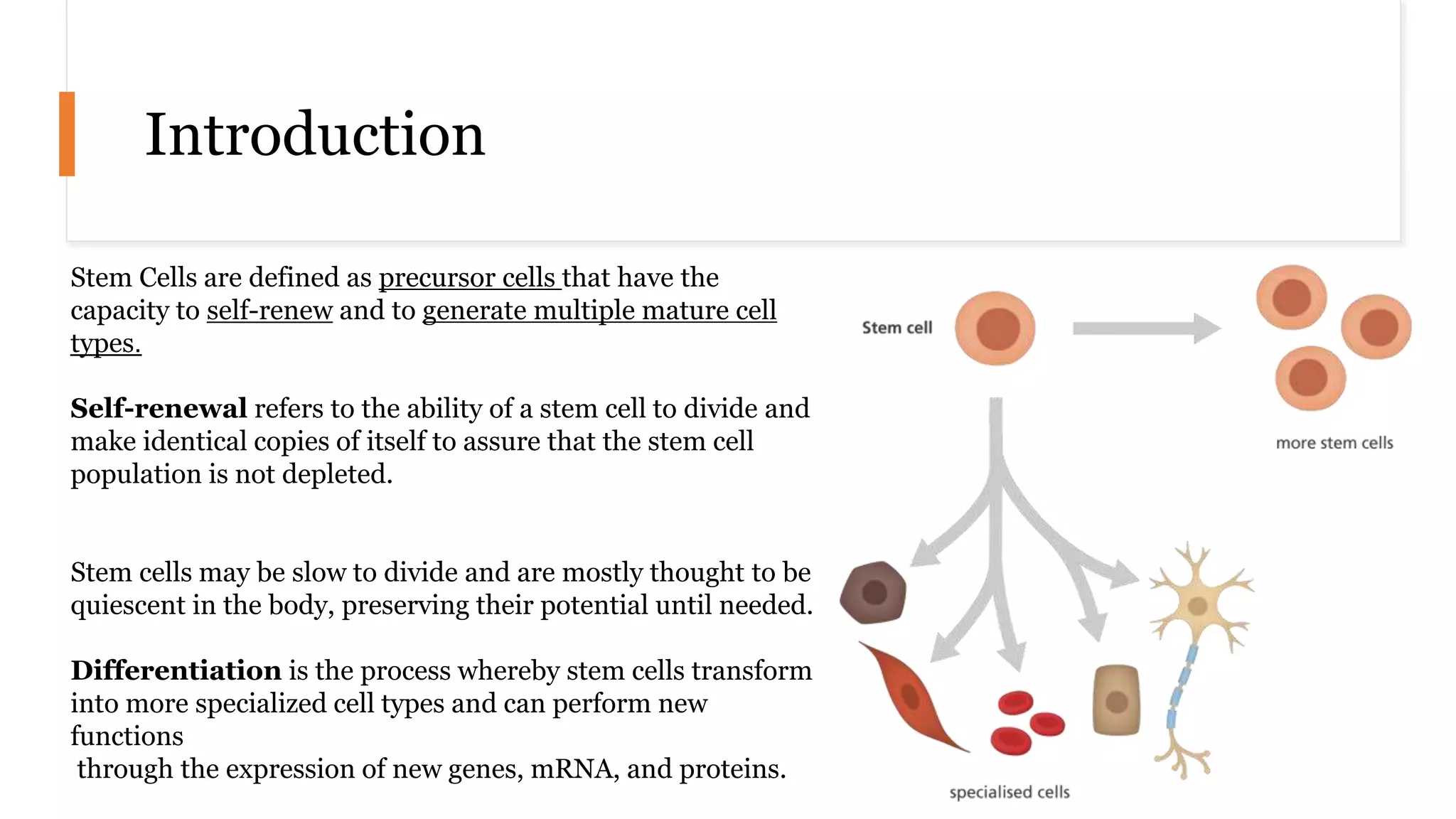 Stem cells Types .pptx