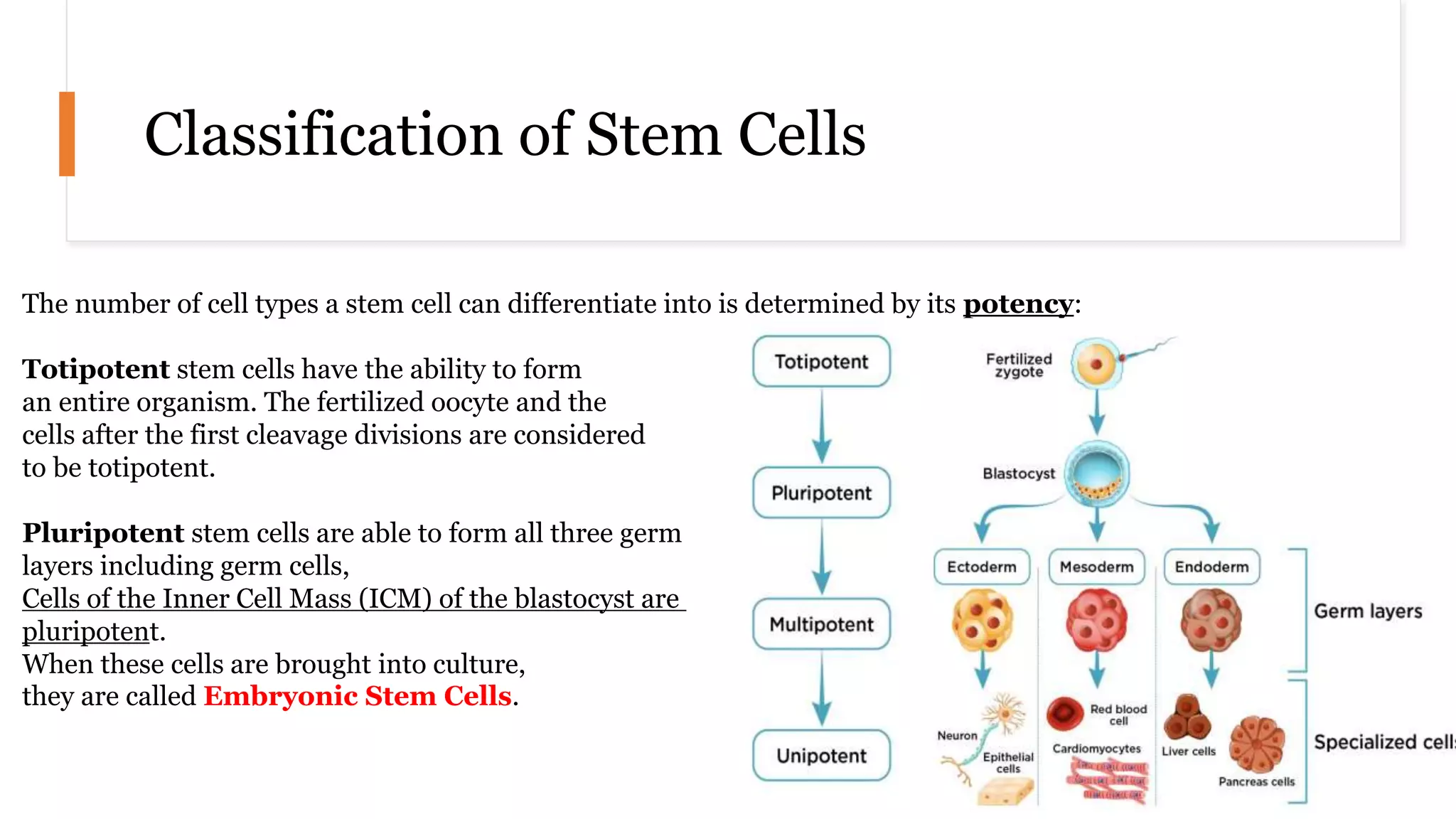 Stem cells Types .pptx
