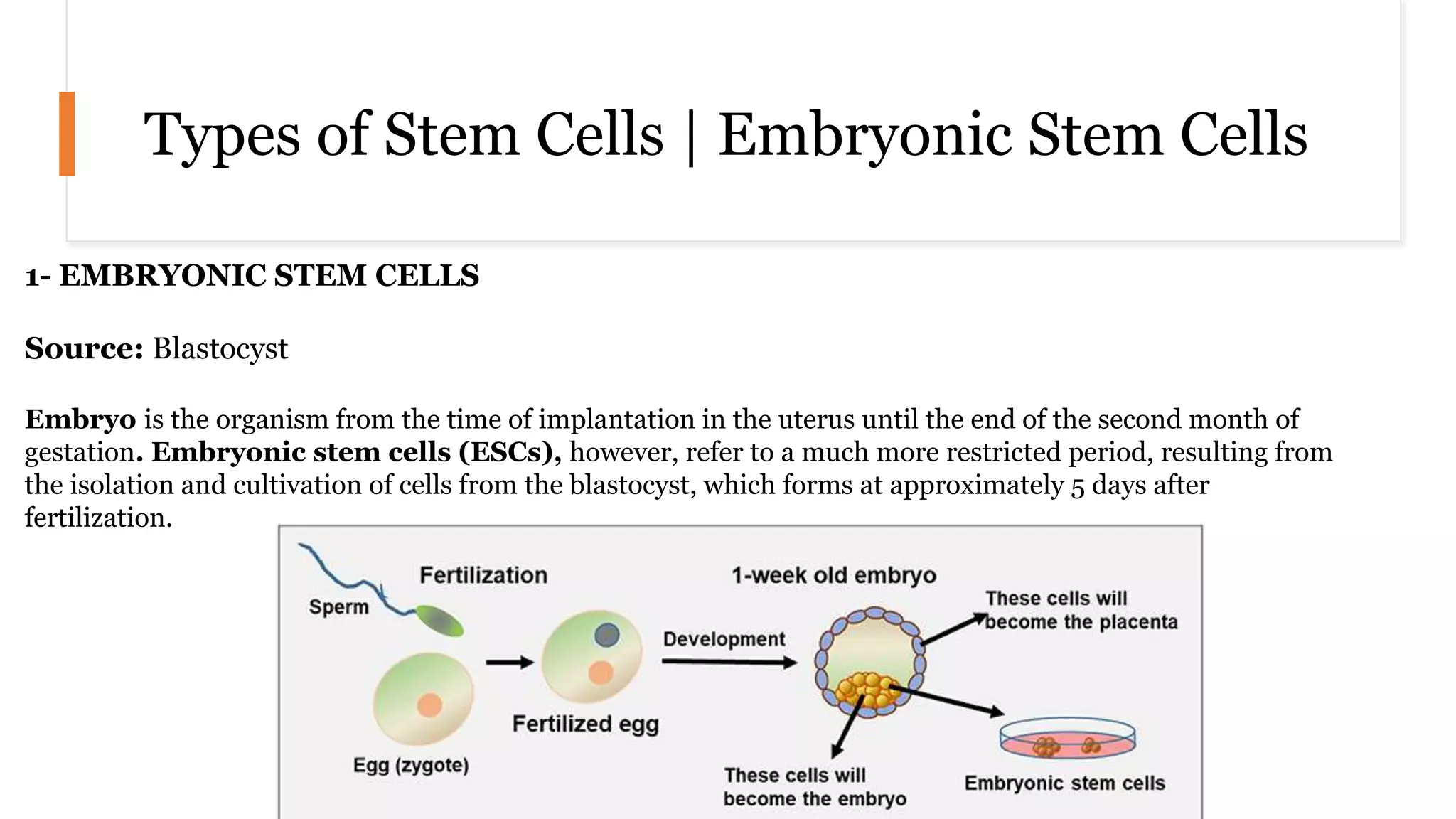 Stem cells Types .pptx