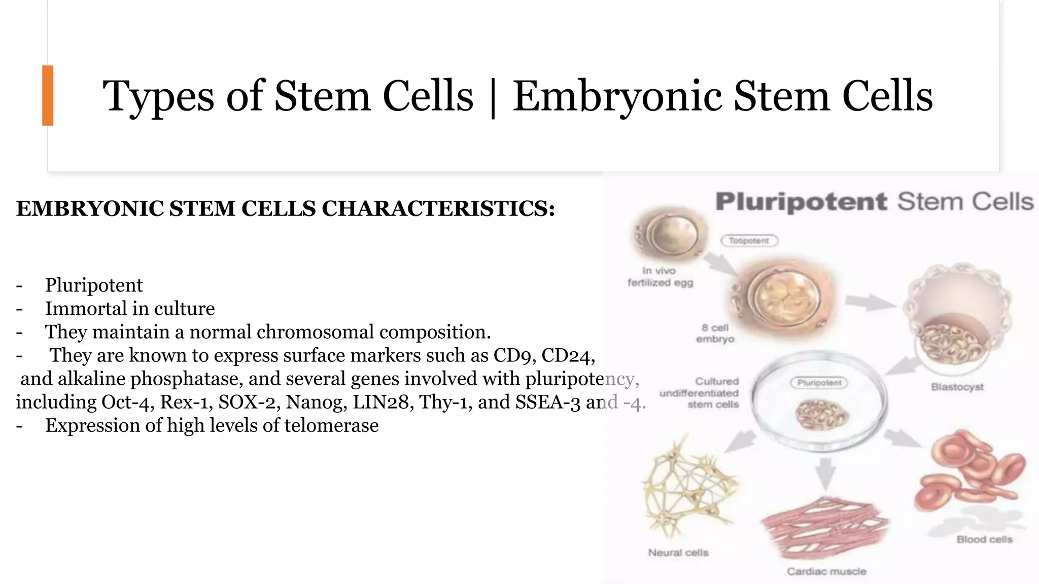 Stem cells Types .pptx
