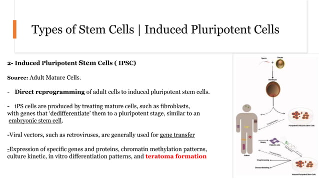 Stem cells Types .pptx