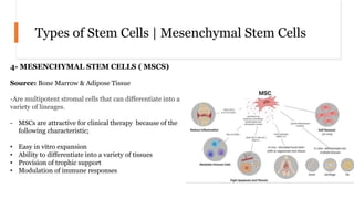 Stem cells Types .pptx