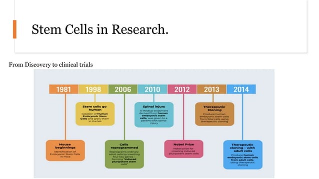 Stem cells Types .pptx